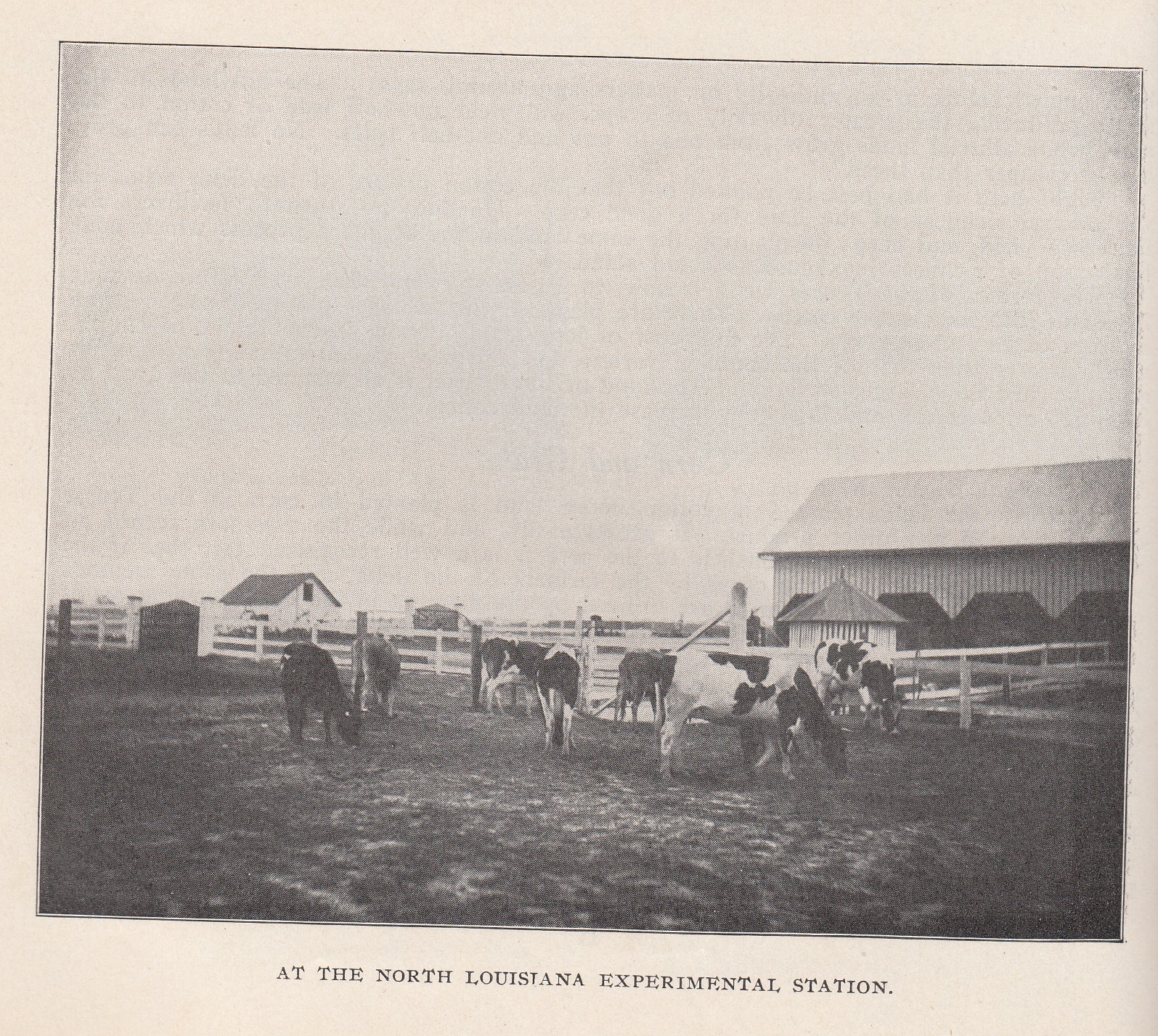 Calhoun Experimental Station – Ouachita Parish History Tidbits